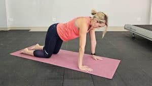 Strength and Mobility Exercises